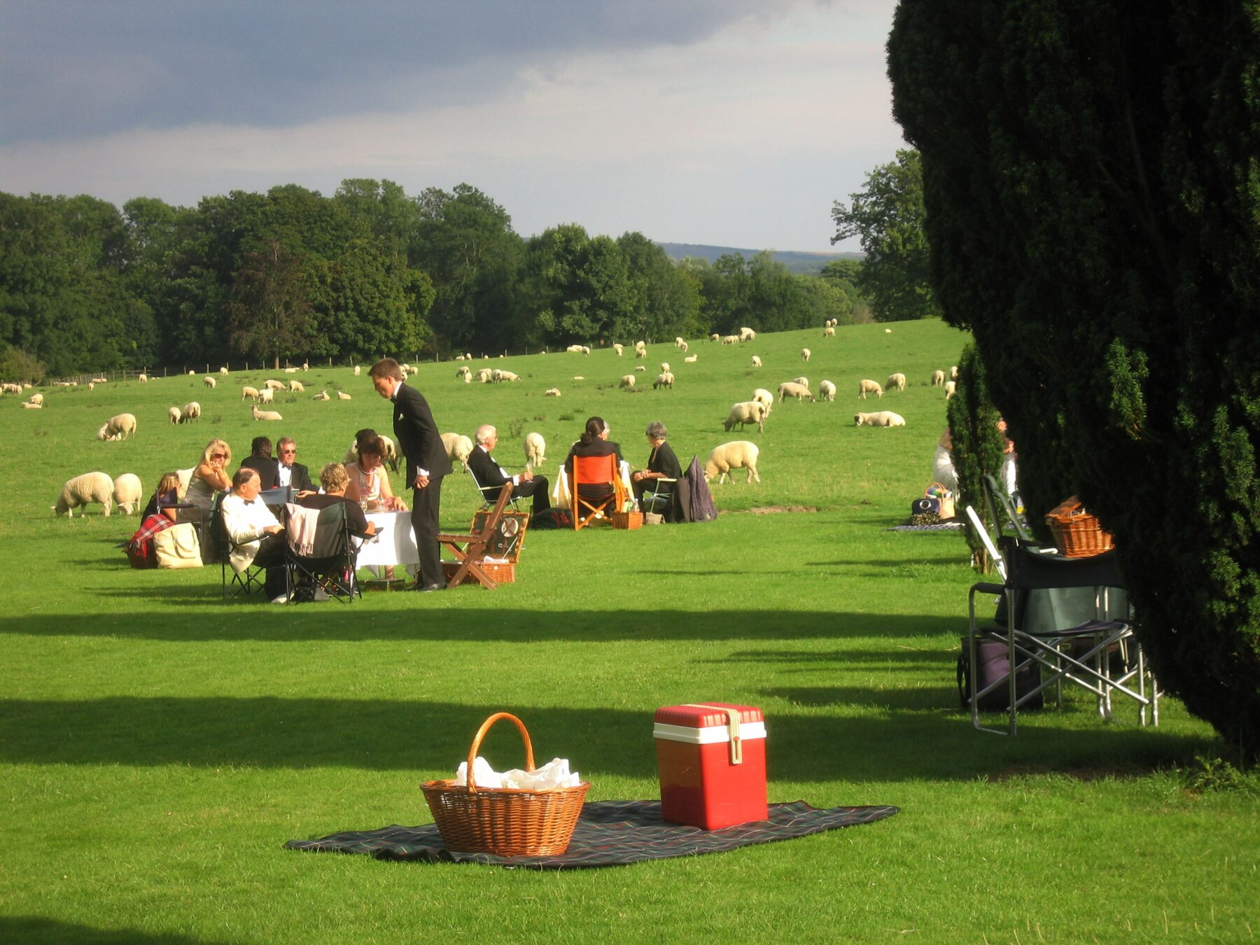 Culture and Countryside: The Art of Sussex Living - Portfolio by Savills