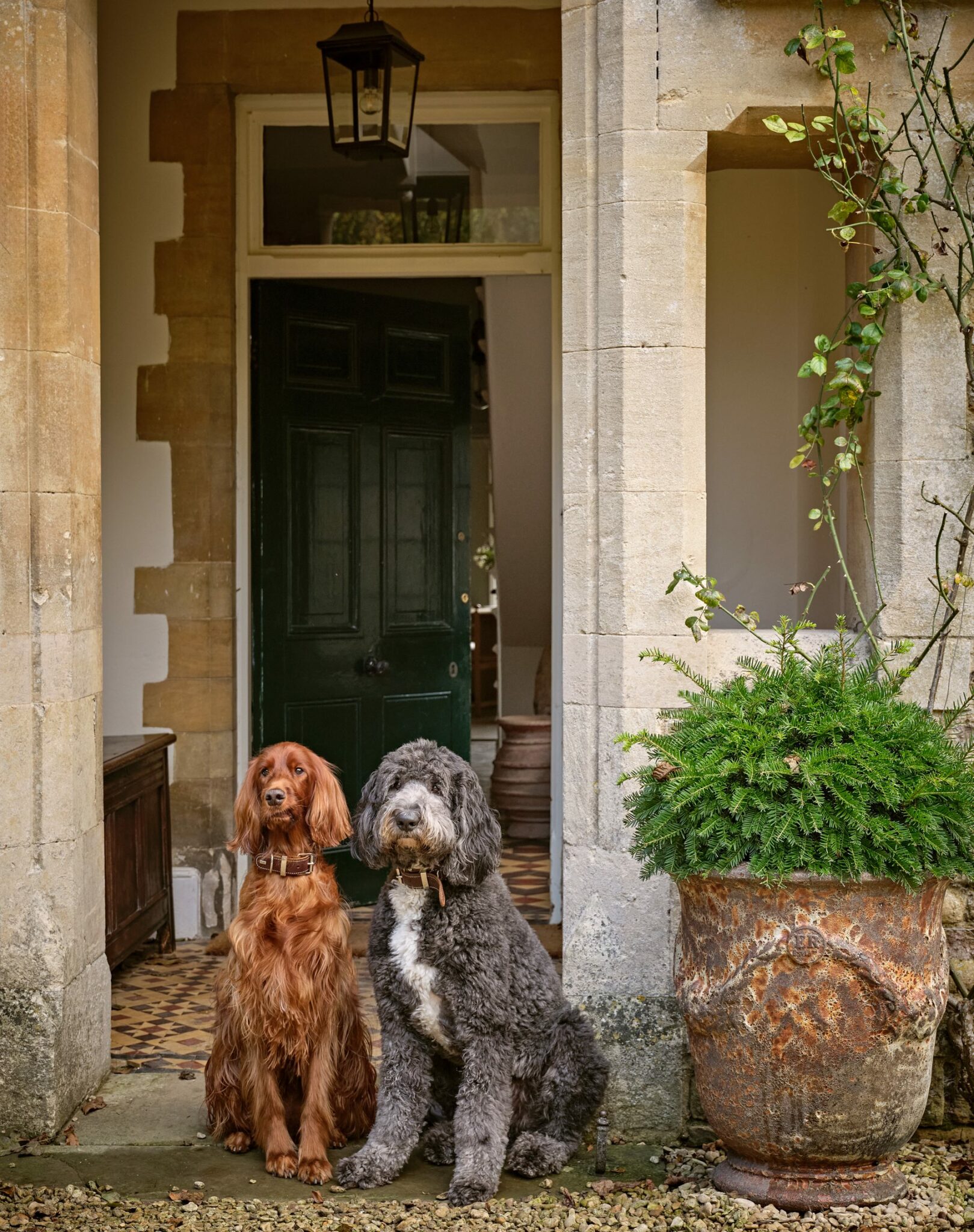 House style: Brian Woulfe - Portfolio by Savills