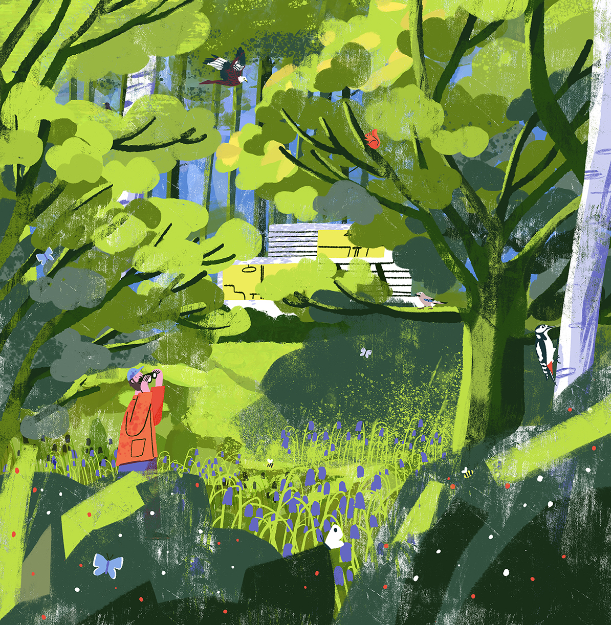 How to create the perfect woodland - Portfolio by Savills