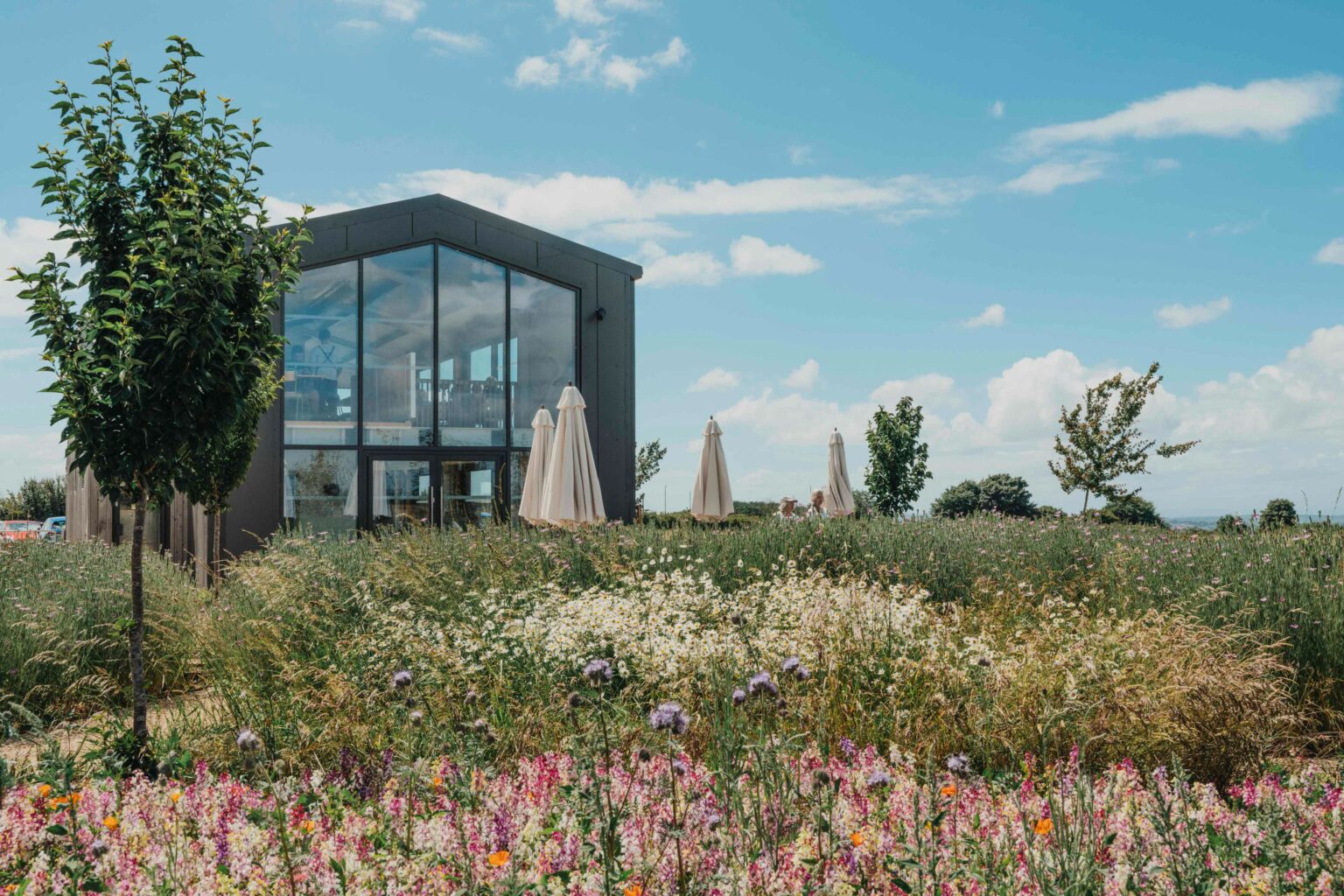 Hyper-local Dining Destinations - Portfolio by Savills