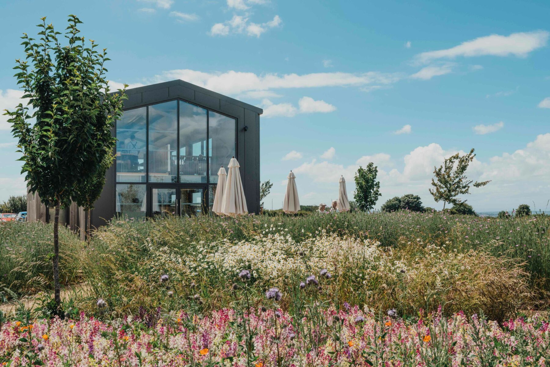 Hyper-local Dining Destinations - Portfolio by Savills