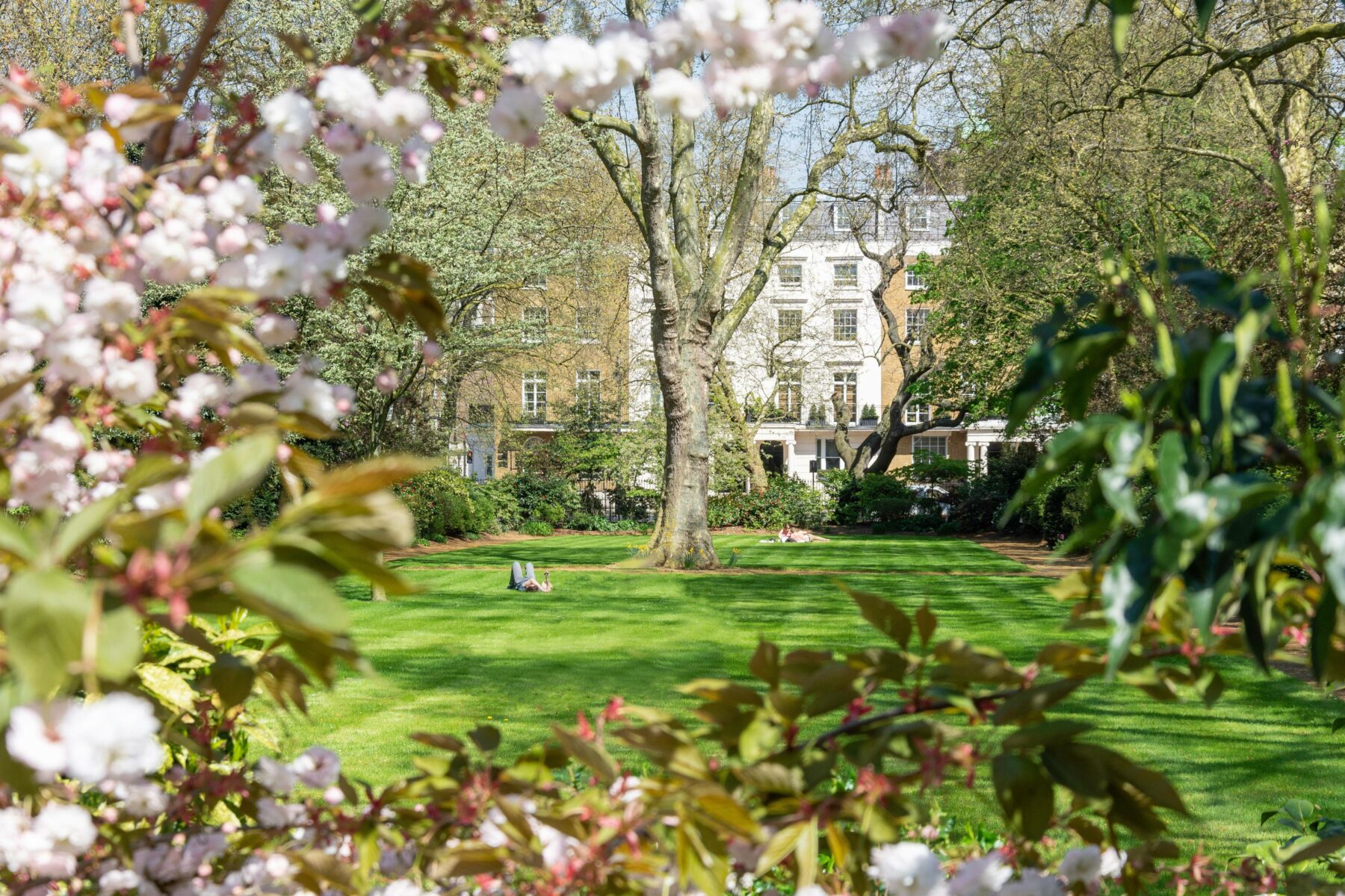 Secret gardens in the heart of London - Portfolio by Savills